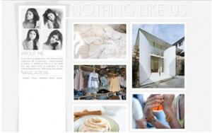 Most Popular Two Column Tumblr Themes with Sidebar - BrandonGaille.com