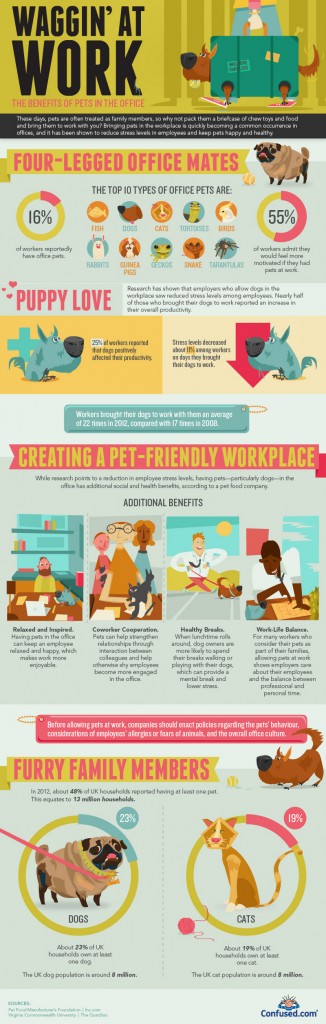 Why You Should Allow Pets in the Office and Workplace - BrandonGaille.com