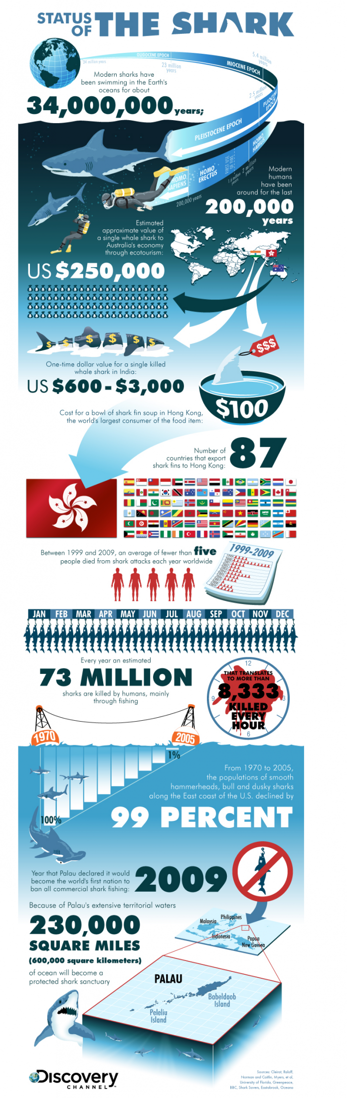 33 Rare Great White Shark Attack Statistics - BrandonGaille.com