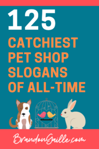 125 Good Catchy Pet Shop Slogans - BrandonGaille.com
