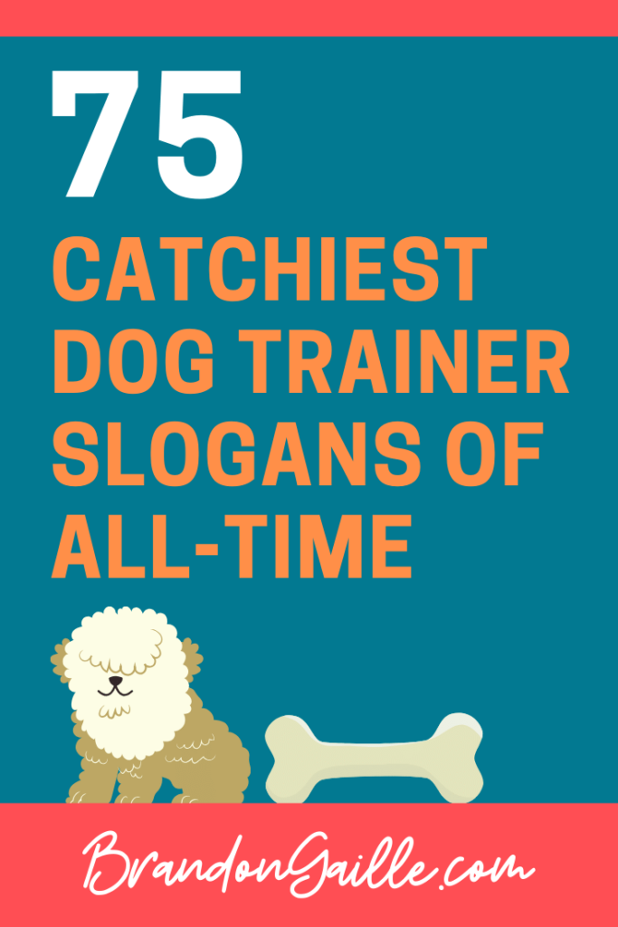 75 Great Catchy Dog Trainer Slogans BrandonGaille