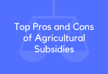 17 Advantages and Disadvantages of Electoral College - BrandonGaille.com