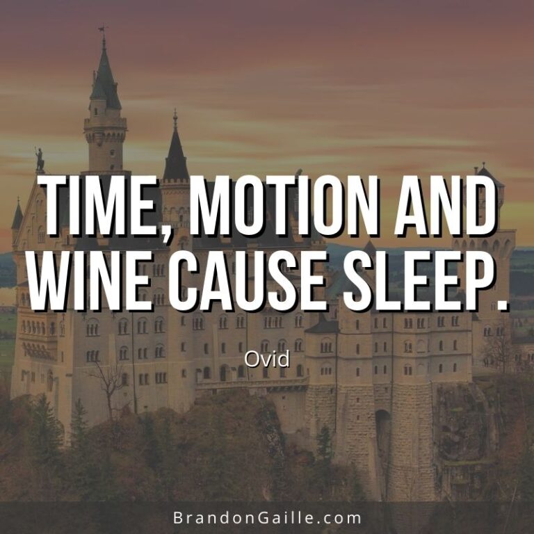 100 Famous Short Quotes About Sleep [with Images] - BrandonGaille.com