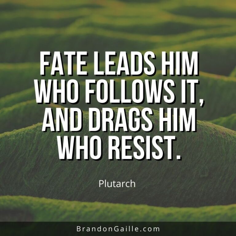 100 Famous Destiny Quotes to Inspire You [with Images] - BrandonGaille.com